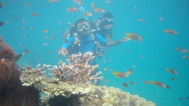 Photos of vedic homes - Goibibo