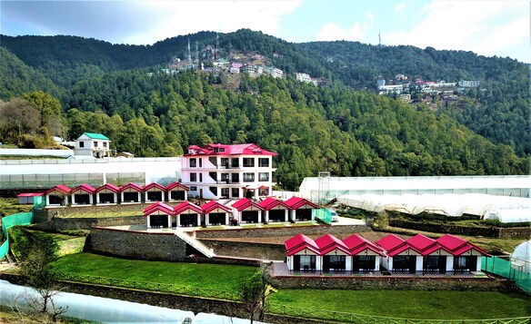 Resort Extreme Village Chail at ₹ 4899 - Reviews, Photos & Offer