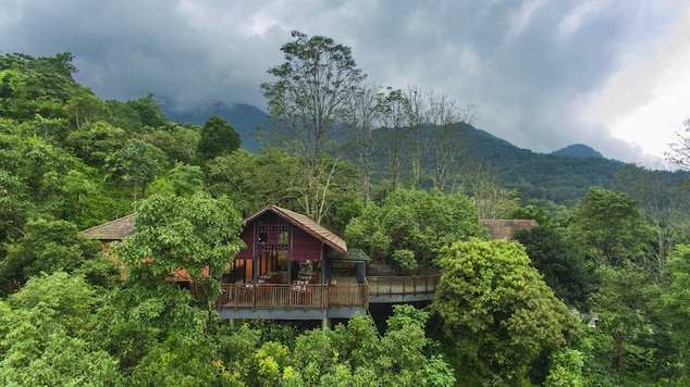 Vythiri Mist Resort Wayanad at ₹ 5640 - Reviews, Photos & Offer