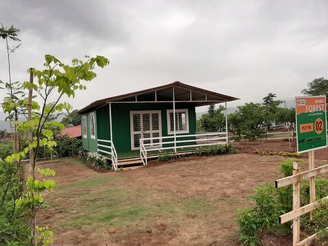 Photos of MANGO FOREST RESORT - Goibibo