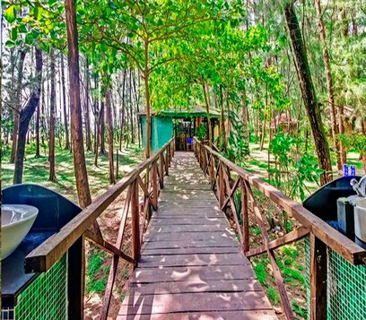 Devbagh beach resort by Jungle Lodges Karwar at ₹ 10615 - Reviews ...