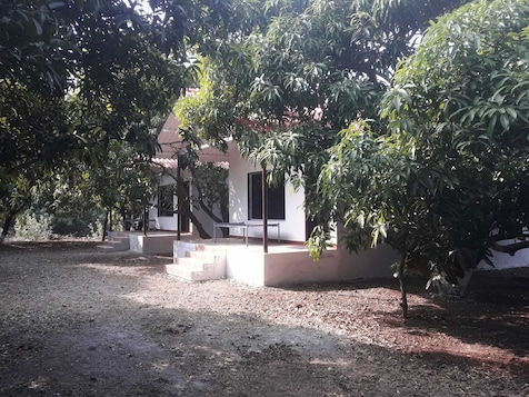 Danak Farm and Resort Sasan Gir - Reviews, Photos & Offer