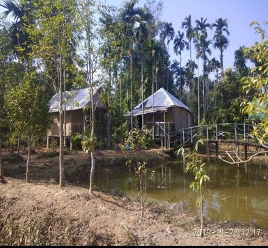 Photos of GIBBON ECO CAMP - Goibibo