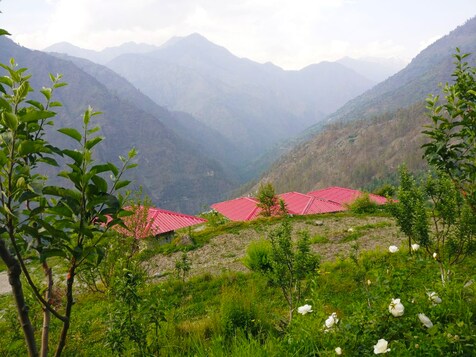 Photos of Camp Rachus Den (Sankri), By Himalayan Eco Lodges Hotel - Goibibo