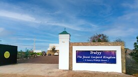 The Jawai Leopard Kingdom -Jungle Resort By Trulyy Falna at ₹ 12150 ...