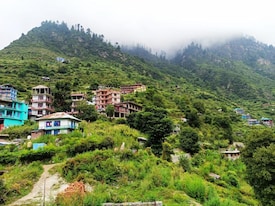 Aman Resort At Tosh Tosh at ₹ 875 - Reviews, Photos & Offer