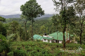 The Morning mist Wayanad at ₹ 2991 - Reviews, Photos & Offer