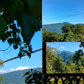 The Jhandi Forest Camping & huts Hotel Gorubathan - Reviews, Photos & Offer