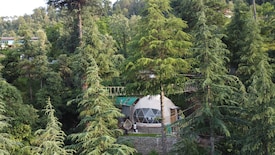 Hayden Royal Swiss Cottage Chail - Reviews, Photos & Offer