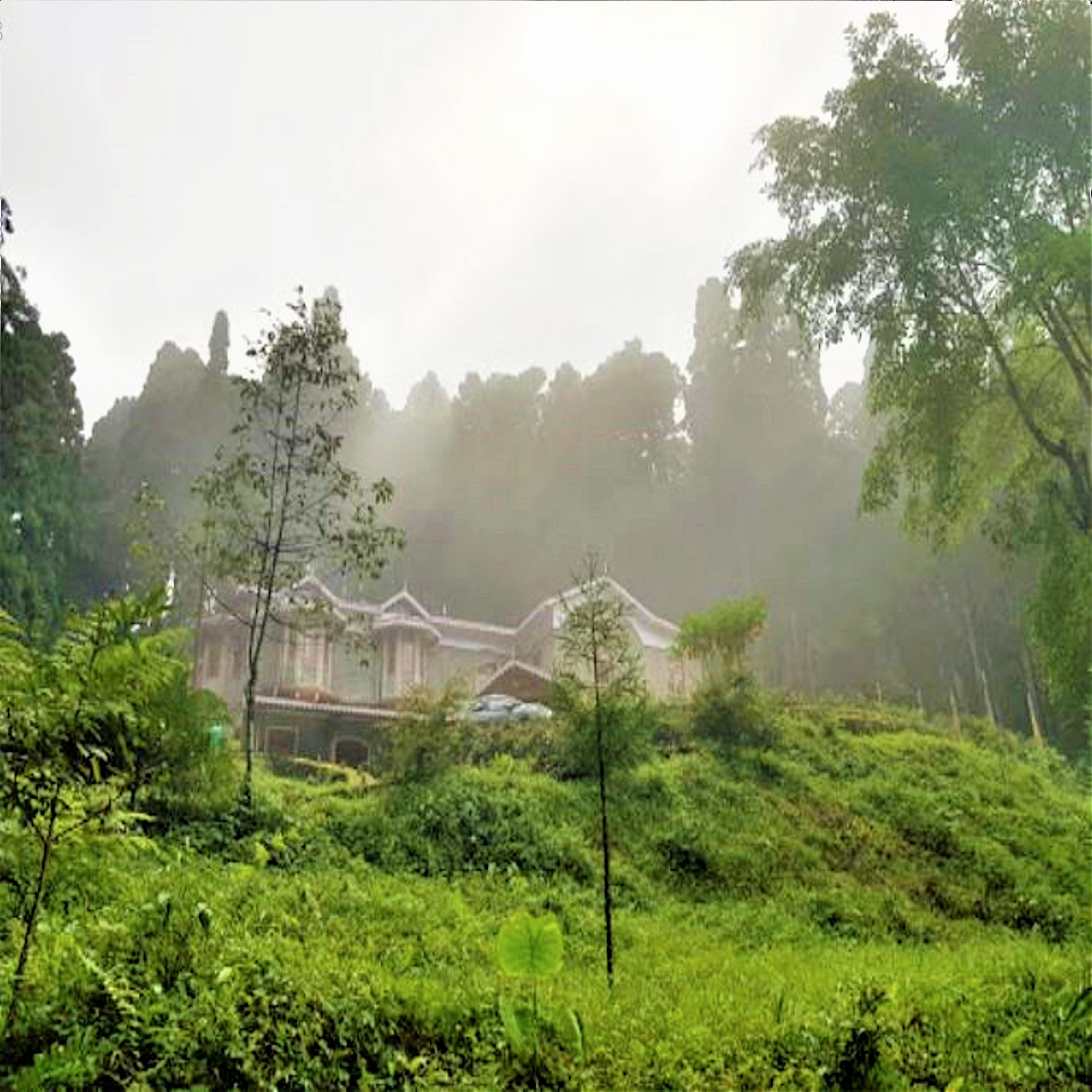Takdah Heritage Colonial Bungalow No. 12 Darjeeling - Reviews, Photos ...